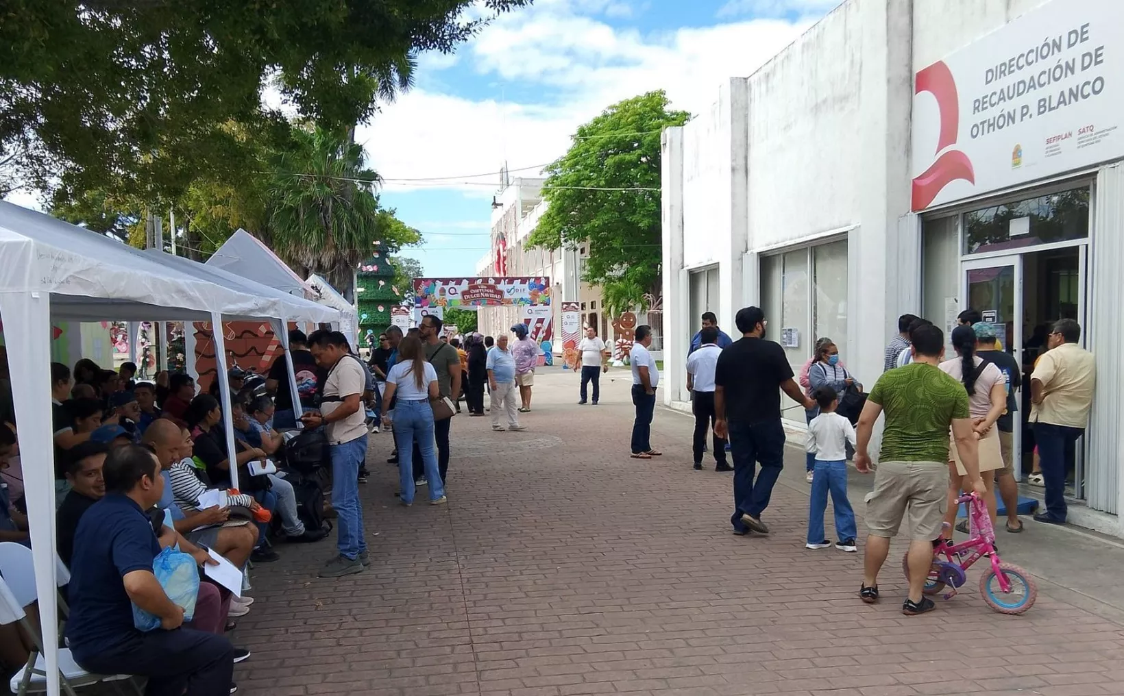 Quintana Roo License Plate Renewal 2026 Now Requires Only CURP, No SAT ...