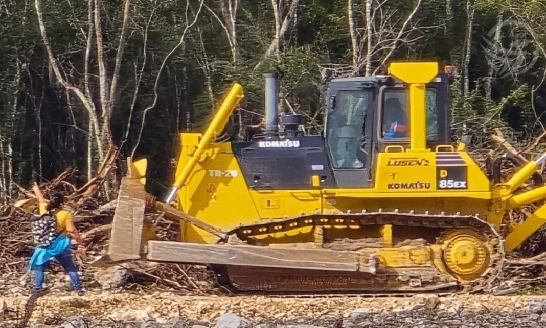 Kinchil Woman Stands Against Heavy Machinery to Protect Archaeological Zone