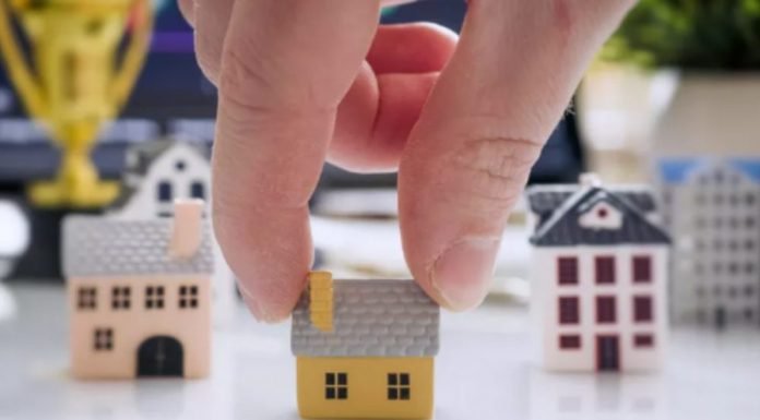 Quintana Roo's Real Estate Alert System Detects First Six Fraud Attempts