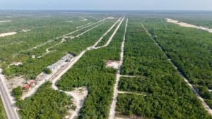 Sedetus Strengthens Surveillance in 2026 to Curb Irregular Settlements ...