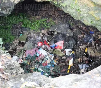 UQROO Develops 'Pollution Traffic Light' Project for Cenotes in ...