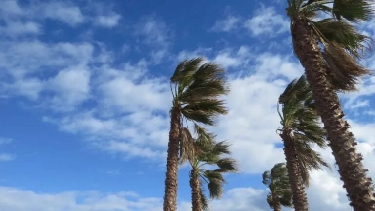 Surada Winds to Hit Quintana Roo Coast This Weekend