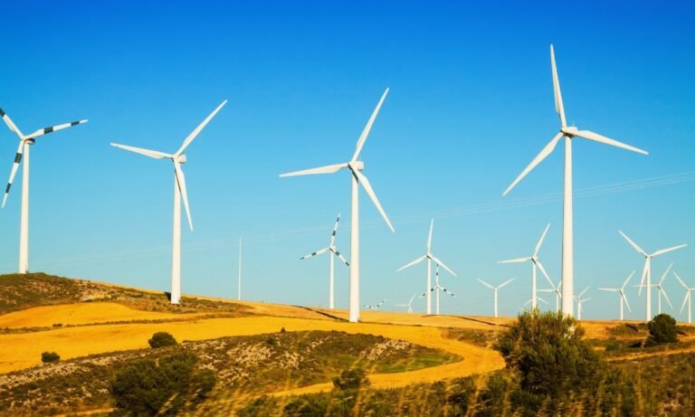 Mexico Approves Controversial Wind Farm Project in Quintana Roo ...