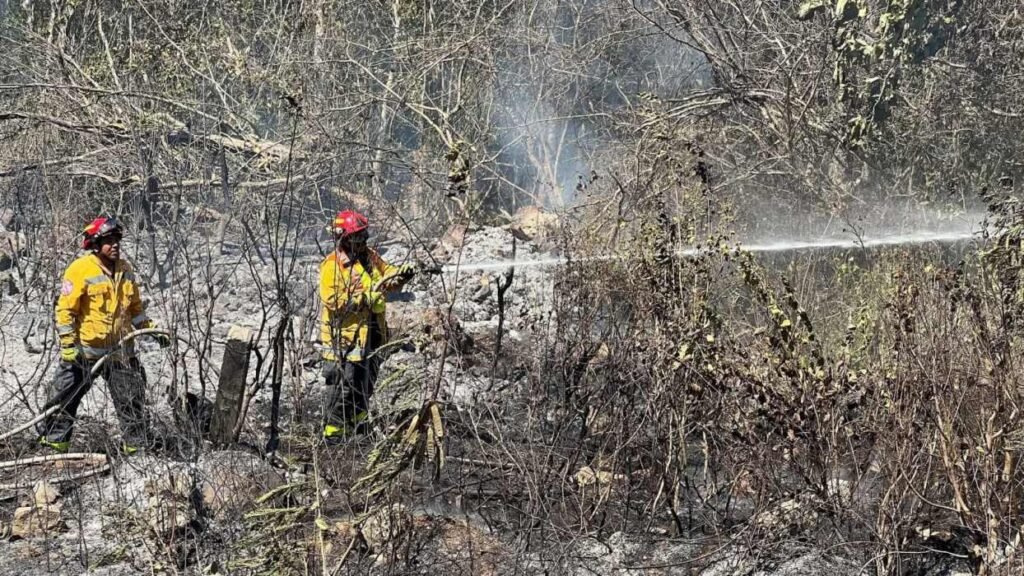Playa del Carmen Firefighters Contain Blaze Along Federal Highway ...