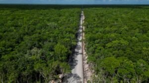 Mexico Orders Army to Submit Regulations for Sian Ka'an Road Project