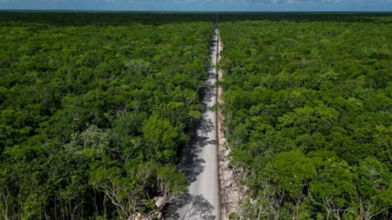 Mexico Orders Army to Submit Regulations for Sian Ka'an Road Project